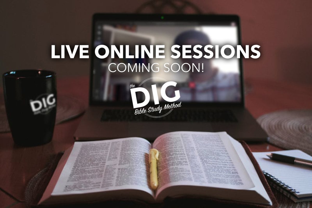 Live Online Training Coming Soon! | DIG Bible Study